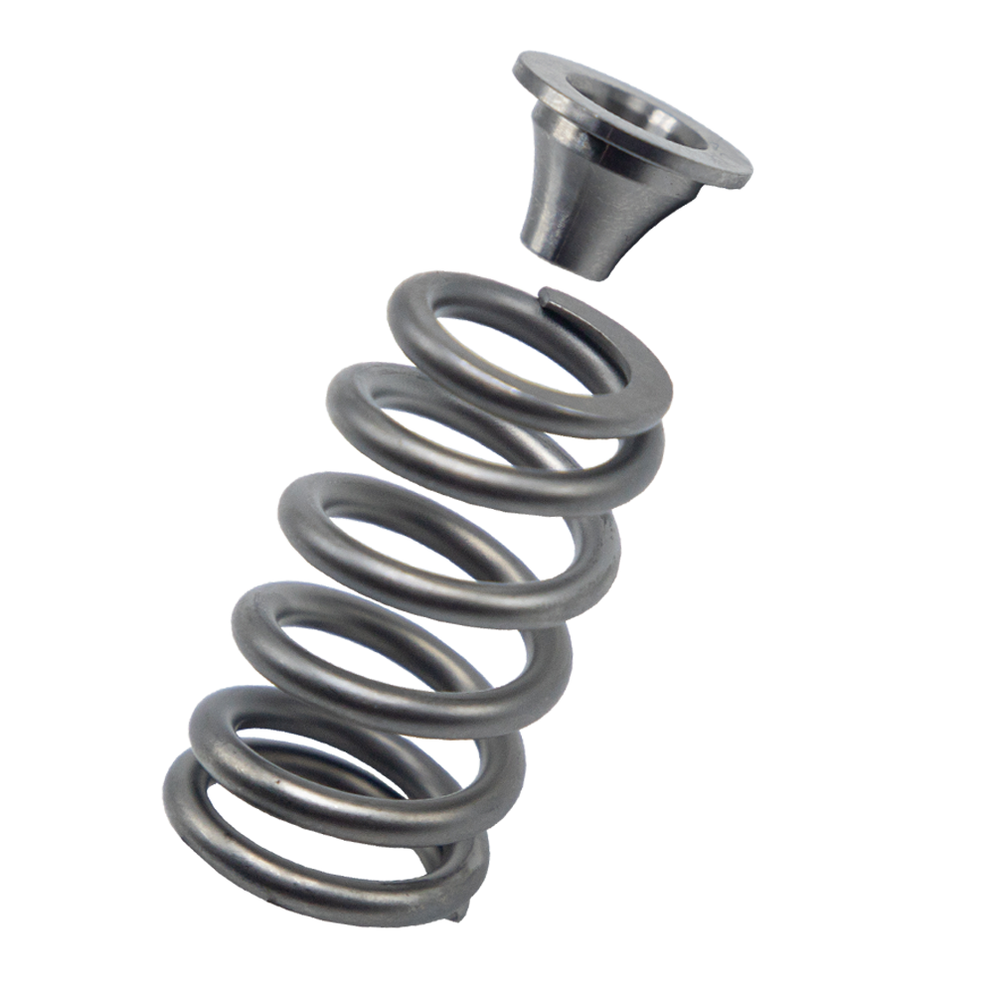 WSRD Terminator Valve Spring Kit | Can-Am X3 & Ski-Doo 900ACE — Whalen ...